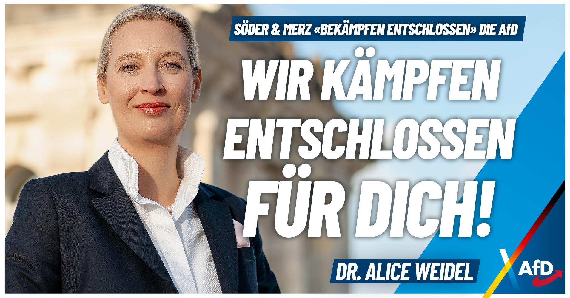 Zukunftsplan Deutschland - Alice Weidel - AfD Kanzlerkandidatin 2025